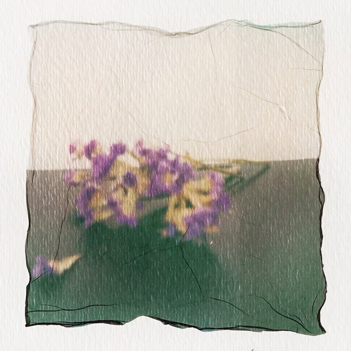 Polaroid Transfers – JAX Atelier